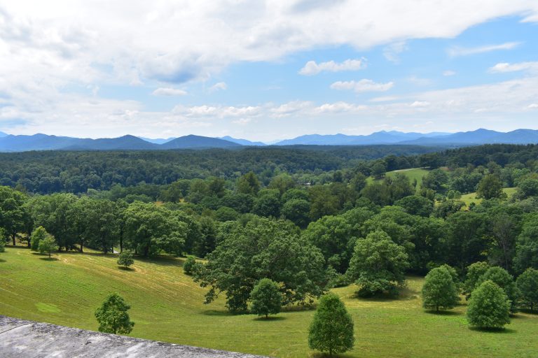 6 Fun Reasons Why You Should Visit the Biltmore Estate | Means To Explore