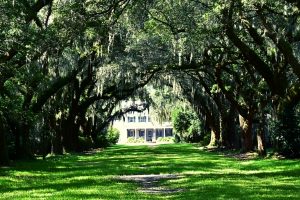The Complete Guide to the Charles Town Landing State Historic Site ...