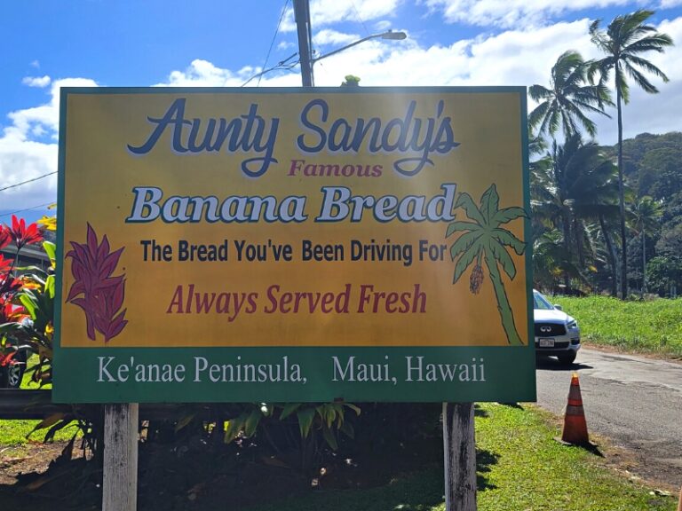 17 Helpful Tips for Driving the Road to Hana in Maui | Means To Explore